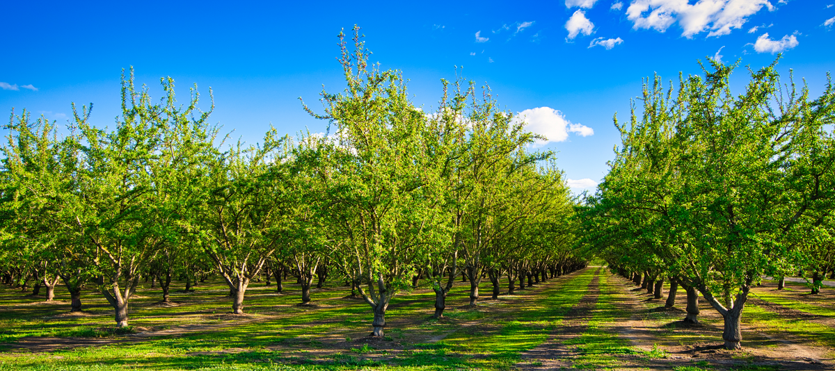 Contact – sunnygemoil